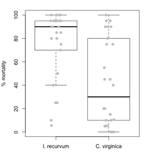 Proportion Of Prey Consumed In Field Experiment Trials By Species Bold
