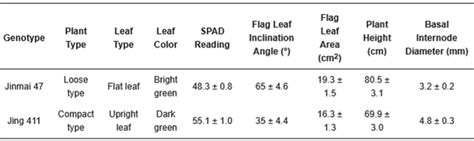 Does Plant Architecture And Water Use Efficiency Impact Yields