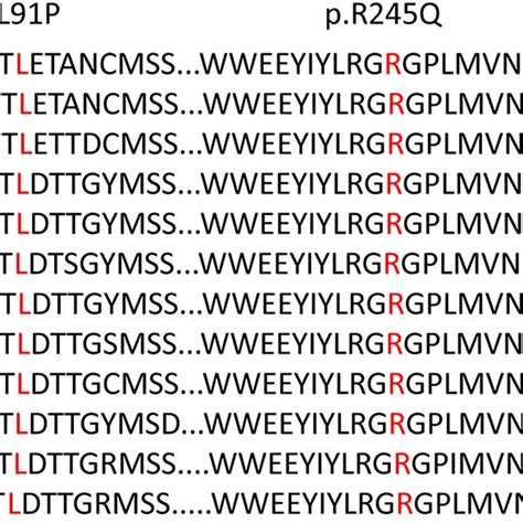 Multiple Sequence Alignment Using Clustalx Alignment Of The Cpt1a