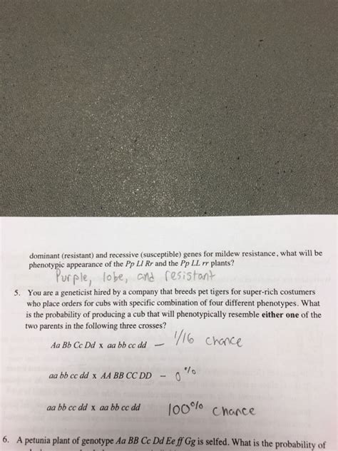 Solved 5 Aa Bb Cc Dd X Aa Bb Cc Dd Probability Explained Chegg Com
