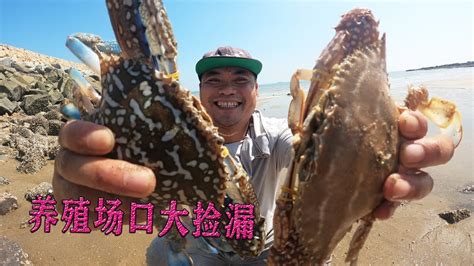 大熊趁着养殖场排水赶来捡漏一连抓到几个猛货这货捡得太爽了 YouTube