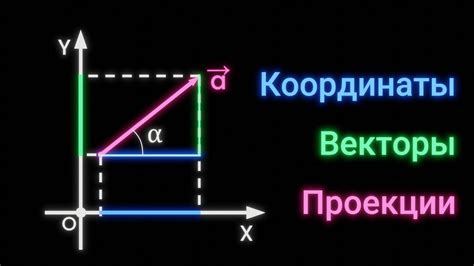 Координаты Векторы Проекции Сложение и вычитание векторов Youtube