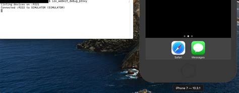 Ios Webkit Debug Proxy Doesnt List My Iphone Simulator With Ios 131