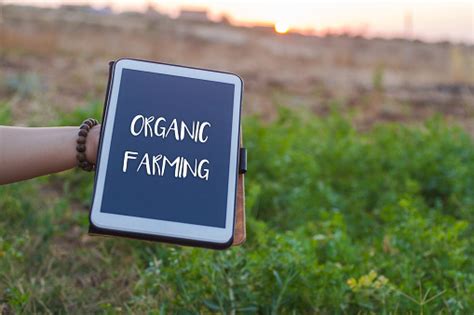 증강된 현실 기술 미래 개념 미래 농업 성장 예측 텍스트 유기 농업 및 사용 기술 농장에서 남자 지주 태블릿 스마트 농업 계절에 대한 스톡 사진 및 기타 이미지 Istock