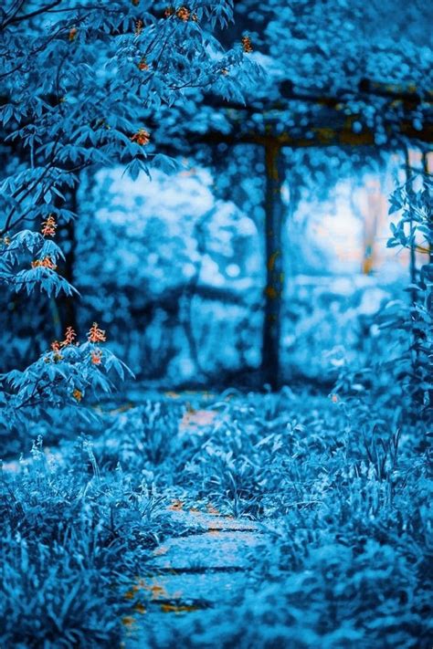 Pin On Cb Background Hd