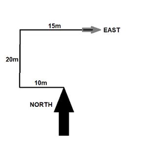 Puzzles Direction GeeksforGeeks