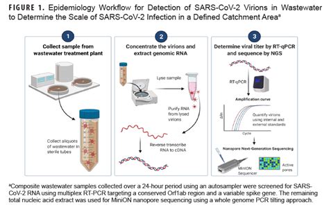 Portable Rt Pcr And Minion Nanopore Sequencing As A Proof Of Concept Sars Cov 2 Biosurveillance