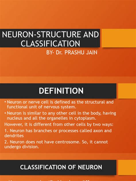 Neuron Structure And Classification Pdf Axon Neuron