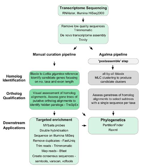 Analysis Pipelines Outline Of The Two Pipelines Used To Detect