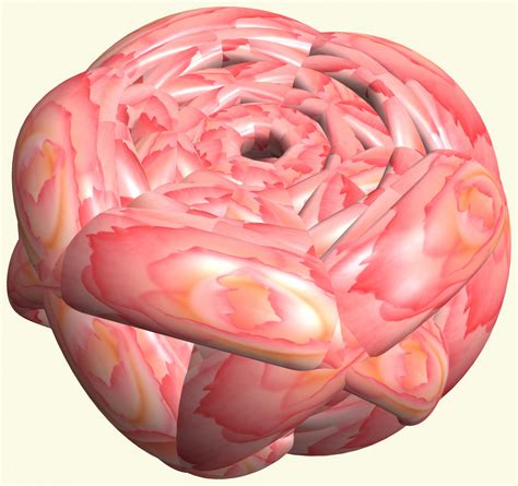 무료 이미지 구조 조직 꽃잎 무늬 입 인간의 몸 그림 삽화 디자인 머리 대칭 뇌 3d 그래픽 오르간 매듭 수학자 Cg