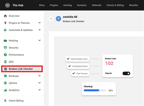 Broken Link Checker Plugin Usage Documentation Wpmu Dev