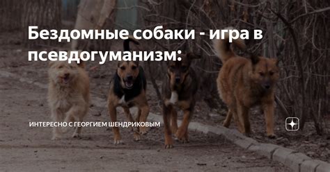 Бездомные собаки игра в псевдогуманизм Интересно с Георгием Шендриковым Дзен