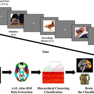 Alcohol Cue Reactivity Brain Maps Of The Subgroups With Patterns 1 And