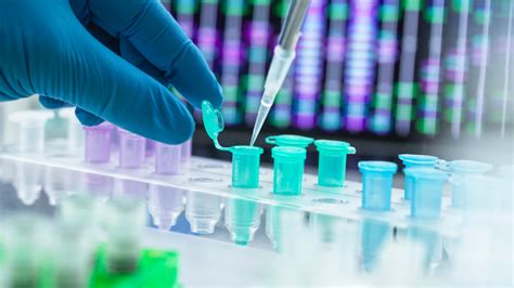 How Accurate Are DNA Tests Live Science