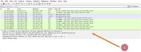 Network Protocol Analyzer WireShark TestingDocs