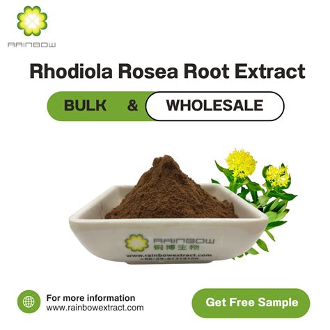 Rhodiola Rosea Root Extract Xian Rainbow Biotech Coltd
