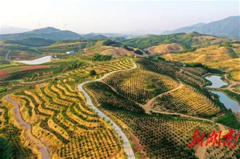 走向胜利决战决胜乡村述说丨瑶山新唱幸福歌 国内新闻 资兴新闻网