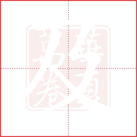 特殊易错笔顺，你写对了吗？