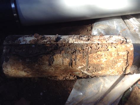 Pipe Excavation Offending Tree Root Found Gough S Tech Zone