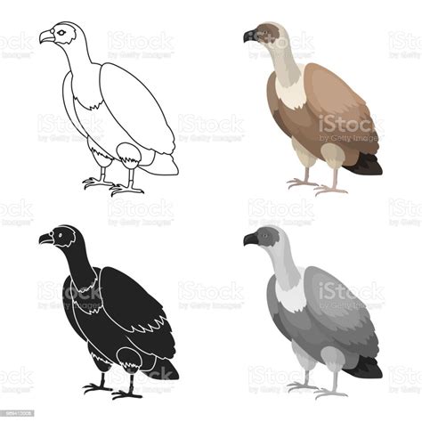 흰색 배경에 고립 된 만화 스타일에 독수리 아이콘 새 기호 스톡 벡터 웹 일러스트입니다 대머리수리에 대한 스톡 벡터 아트 및 기타 이미지 대머리수리 갈고리 발톱 깃털