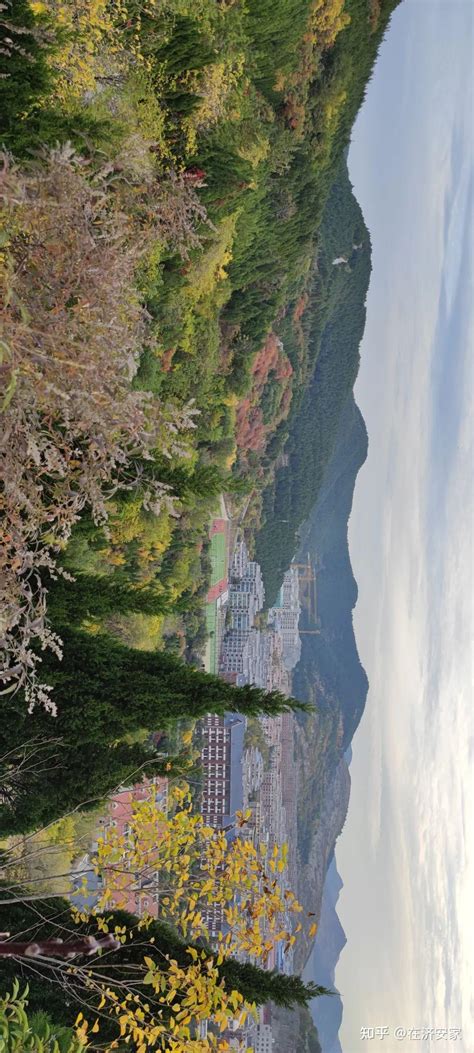 怪不得人人喜欢旅游路，这景色绝了！ 知乎