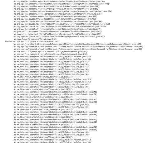 Flixzuulutilzuulruntimeexception Socketexception