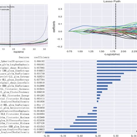Lasso Model On In Phase Images The Optimal Value Of The Lasso Tuning Download Scientific
