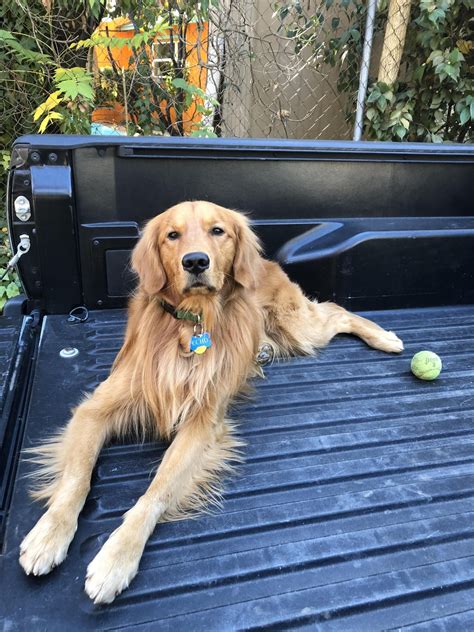 Echo Boy Is In His Prime 7th Year Of Goodboyness And Looking For A