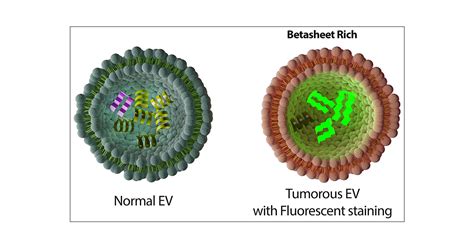 What Is Your Employee Value Proposition Evp And Why Is It 42 Off