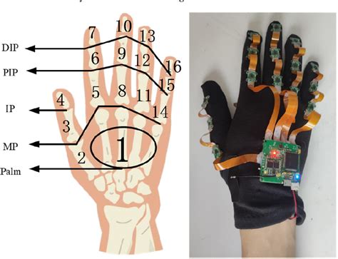 Figure 3 From Dataglove For Sign Language Recognition Of People With Hearing And Speech