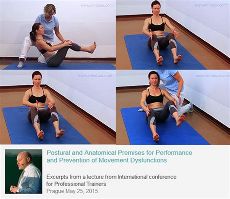 Kineziterapijos Klinika Kaune Dynamic Neuromuscular Stabilization