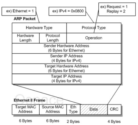 [network] Arp Address Resolution Protocol Brain Backup