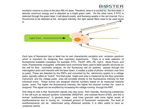 Flow Cytometry Principle Pdf