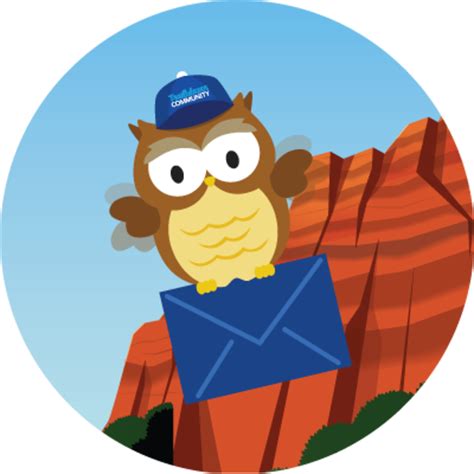 Trailblazer Community Salesforce Marketer Group Mysore India