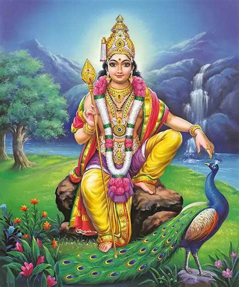 முருகன் கோயில்களில் களைகட்டும் தைப்பூச திருவிழா