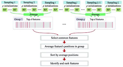 The Procedure For Calculation Of Feature Importances From Multiple Rfs