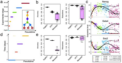 assessment of soptsc for pseudotime inference a pseudotemporal