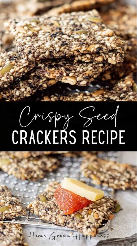Crispy Seed Crackers Recipe Healthy Meals Homemade Seed Crackers