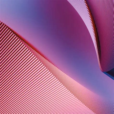 Canva Web Vs App Which One Should You Use Coderog