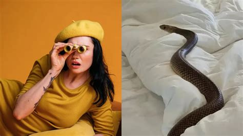 Penampakan Ular Berbisa Berbaring Di Kasur Wanita Ini Bikin Merinding Hot Liputan Com