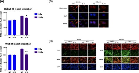 Il‐10 Eliminates Reactive Oxygen Species Ros And Protects