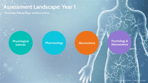 Ppn Assessment Landscape With Bristol Skills Framework By Elena Paci On Prezi
