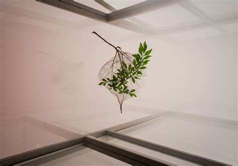 Inconsequentiality → Term