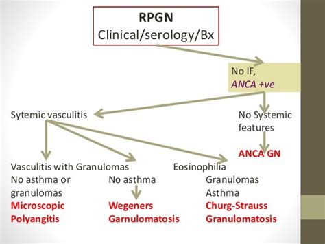 Approach To Rapidly Progressive Glomerulonephritis Rpgn