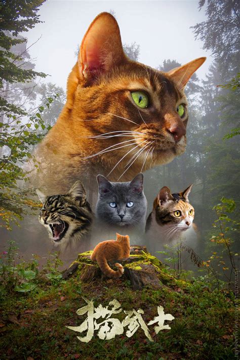 Warrior Cats Wallpapers Wallpapersok