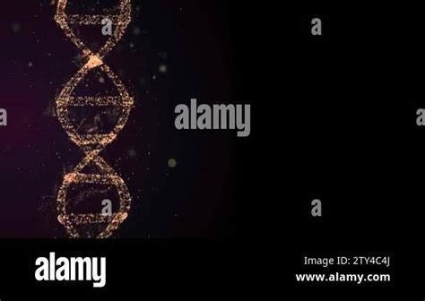 Human Digital Dna Appears Evolving And Growing Cells Formed By