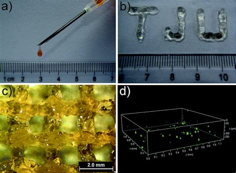 Printable Hybrid Hydrogel By Dual Enzymatic Polymerization With