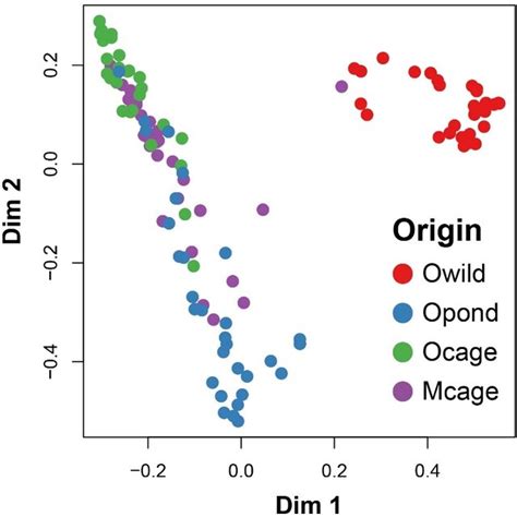 Multidimensional Scaling Mds Ordination Of Proximity Scores From
