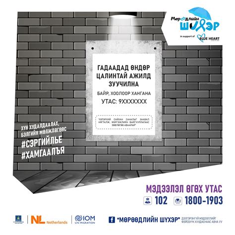 Насанд хүрээгүй охидыг хууран мэхэлж бэлгийн мөлжлөгийн хохирогч болгож байна