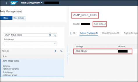 Sap Hana Cloud Catalog And Hdi Role Creation A Step By Step Guide